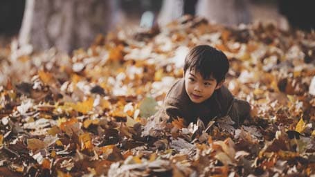 SICHENG CHEN